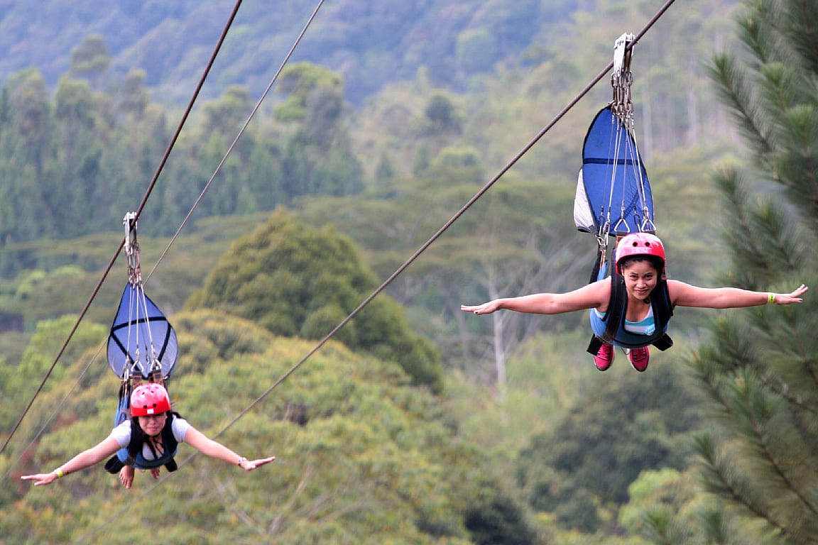 Dahilayan Adventure Park in Bukidnon Ticket - Newest Entry Ticket Prices