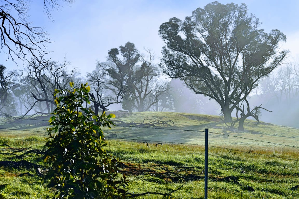 Tiket Mount Lofty Ranges and Adelaide City Tour Harga Promo - tiket.com