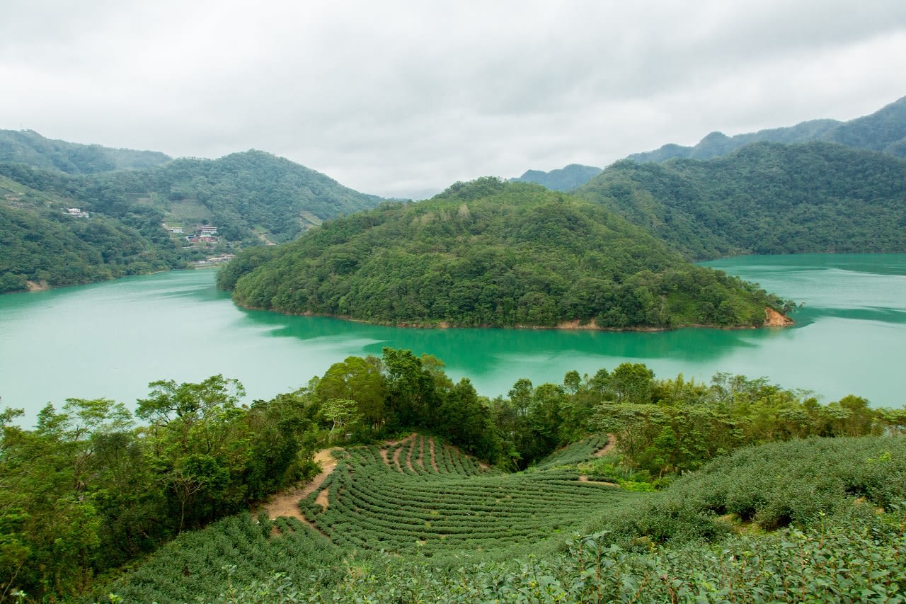 Thousand Island Lake and Pinglin Tea Plantation Tour Diskon 50% Paket Tur