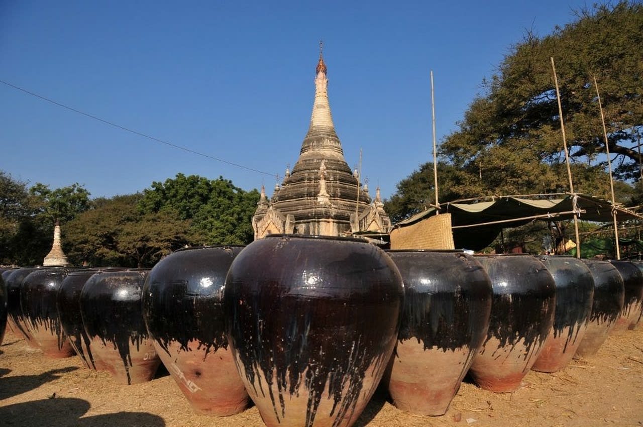 Get Ticket Shwe Hlaing Village and Toddy Climber Tour Promo Prices ...