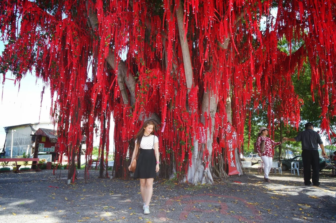 Sekinchan Rice Paddy Fields and Fishing Village Countryside Tour from ...