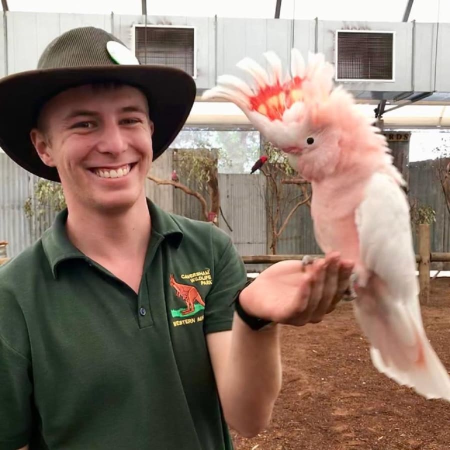 Caversham Wildlife Park Cashback 10% on 2024 Entrance Ticket Prices!