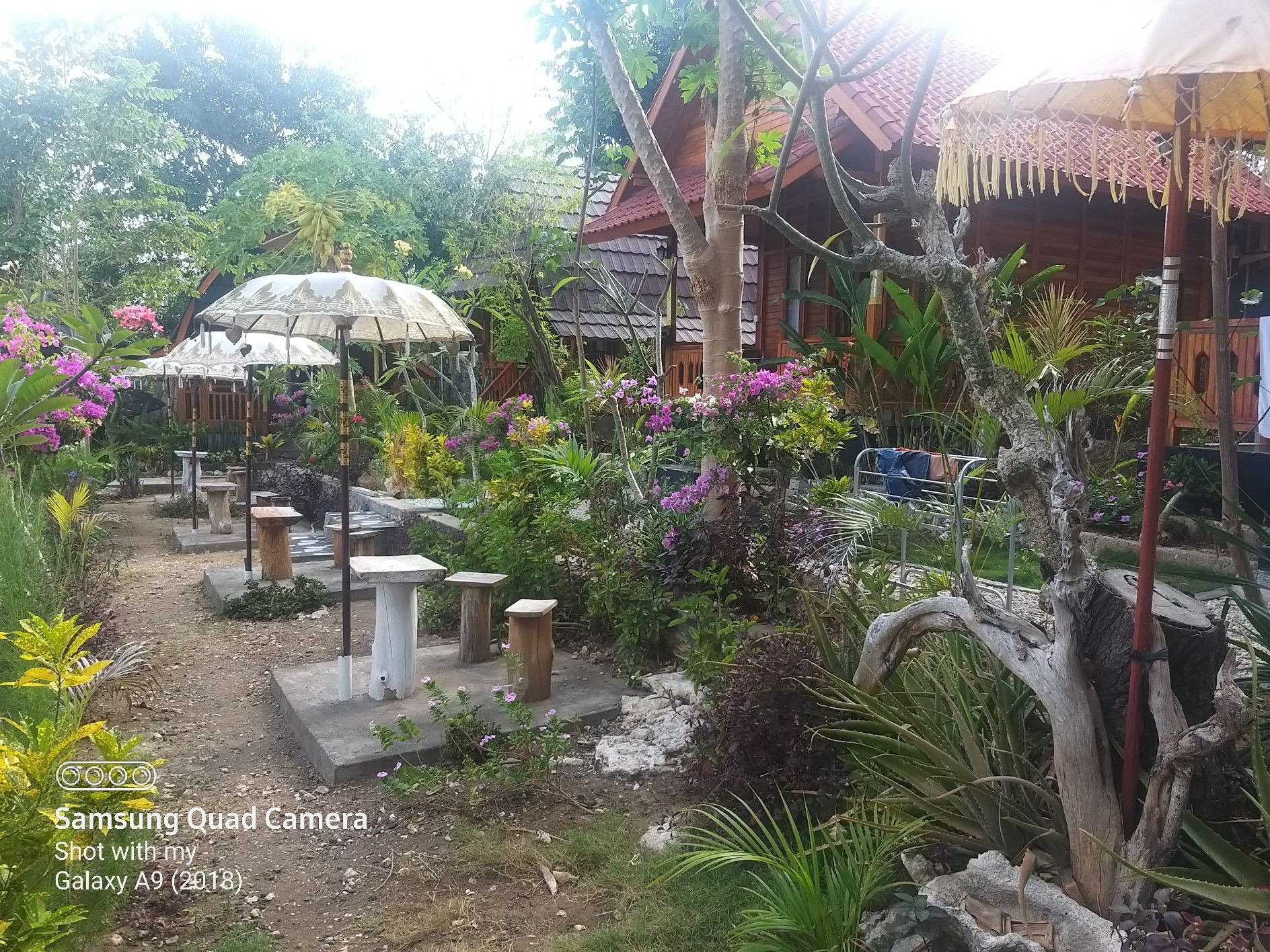 Sunset Hill Penida Resort - Harga Promo 2023 di tiket.com