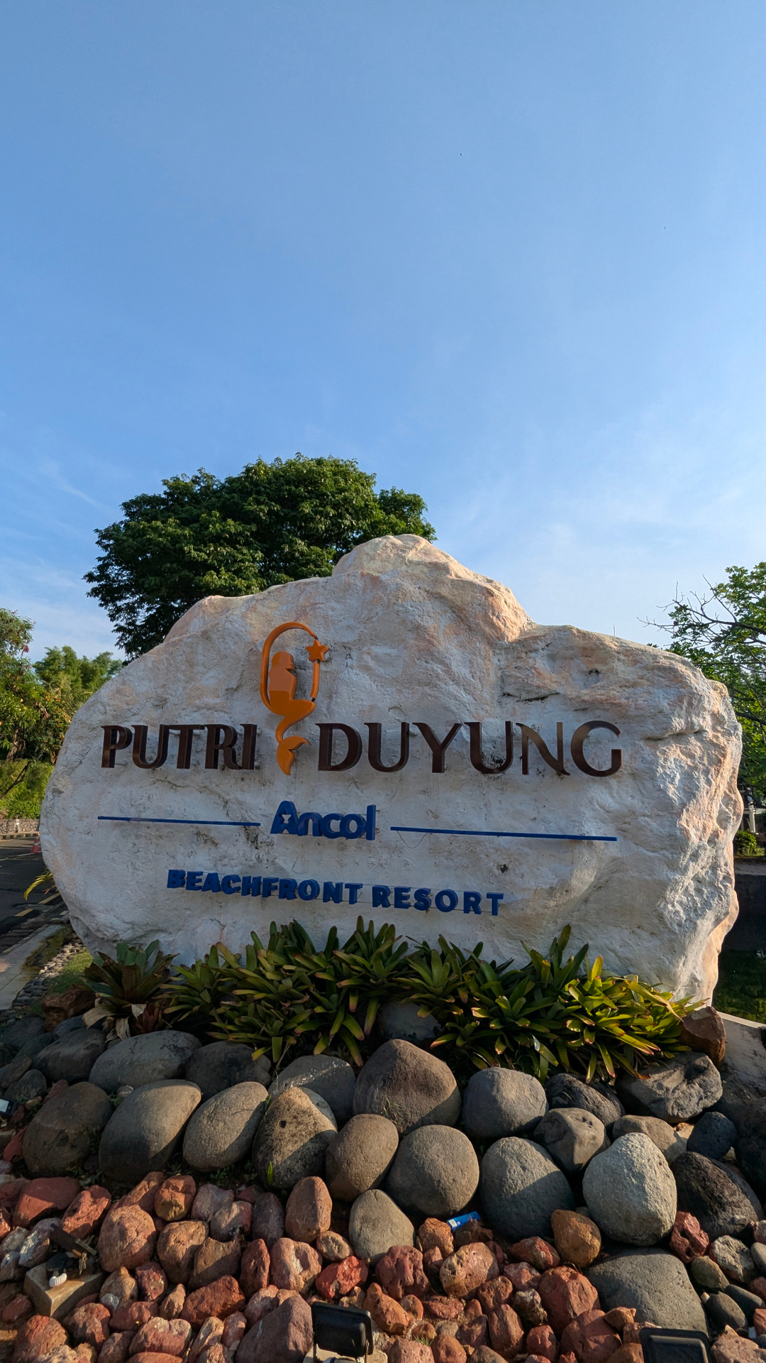 Putri Duyung Ancol Diskon s.d 50% - Promo Terbatas