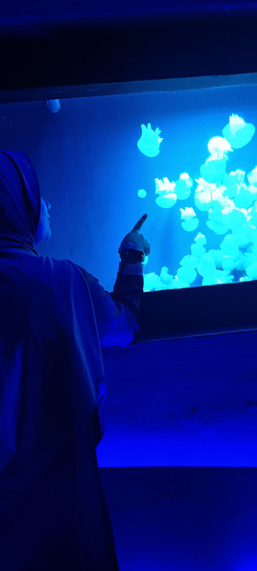 Buy Jakarta Aquarium Safari Tickets with up to 30% Discount 🎟️