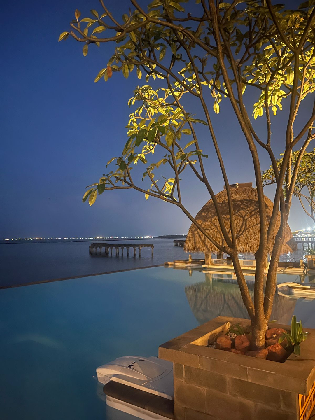 Putri Duyung Ancol Diskon s.d 50% - Promo Terbatas