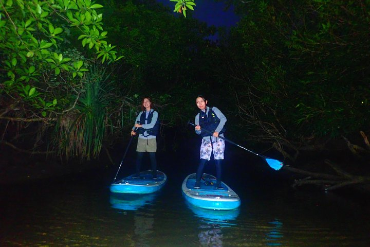 [Okinawa Iriomote] Night SUP/Canoe Tour in Iriomote Island Harga Promo Terbaru 2023