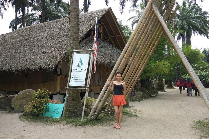 Tadom Hill Splashing Adventure including Diving Platform & Tarzan Swing ...