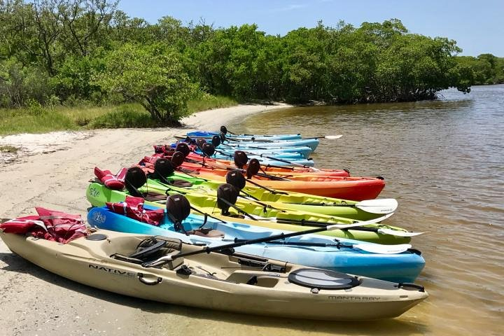 2 or 3 Hour Naples Kayak Rental with Single & Tandem Options Harga ...