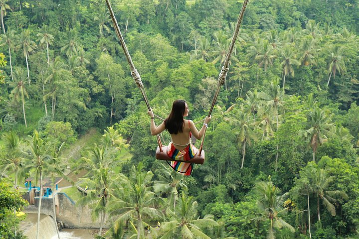 Bali Jungle Swing with Ubud Tour - All inclusive - Private Transfer ...