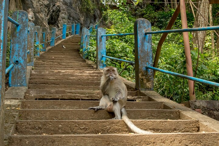 Krabi Rainforest, Hot Spring Waterfall, Emerald Pool & Tiger Cave ...