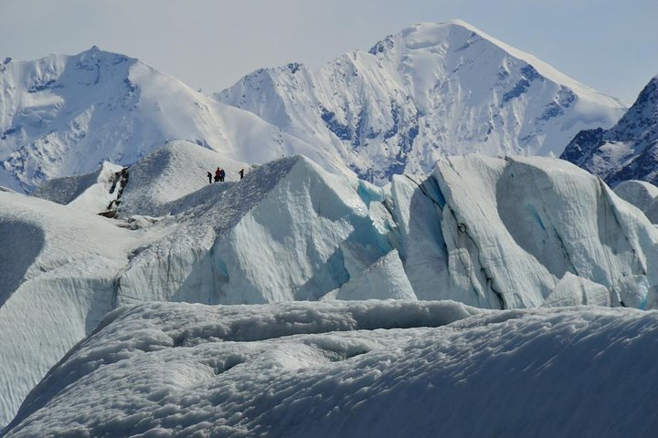 Matanuska Glacier Wildlife & Wilderness Photo Tour from Anchorage Harga ...