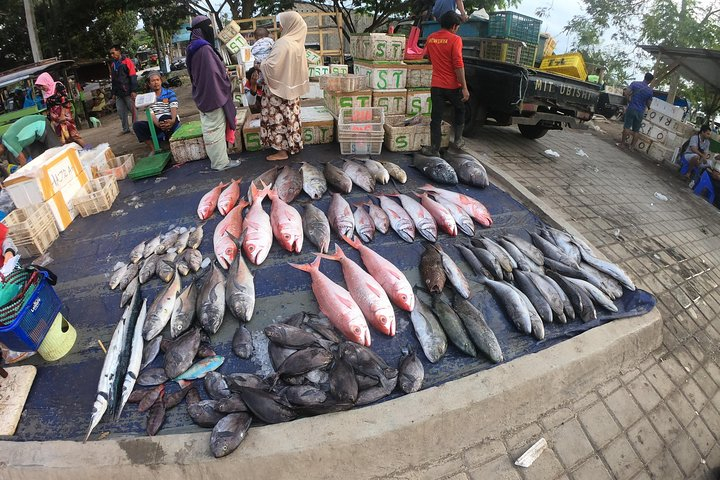Fish & Traditional Market Package Visit Diskon 50% Harga Tiket Masuk
