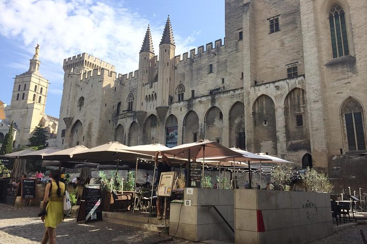 Avignon, Palace of the Popes and tasting of Côtes du Rhône wines 50% ...