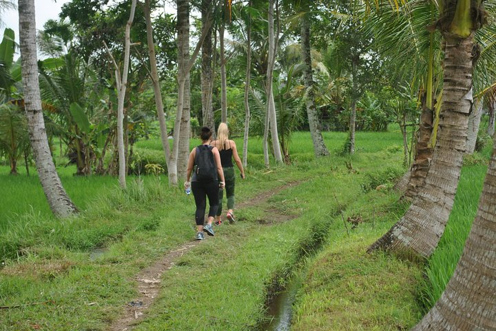 Authentic Ubud Nature Walk Harga Promo Terbaru 2023