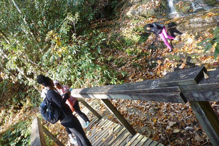 Victoria Bryant State Park Hike with Wine Tasting Diskon 50% Paket Tur