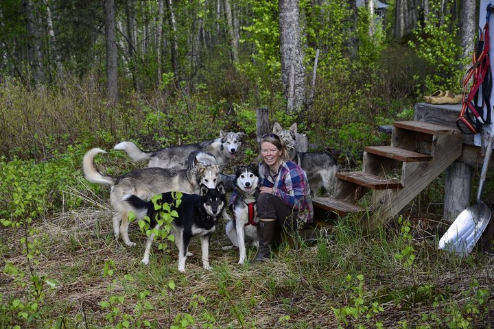 Intimate Visit of an Alaskan Off-Grid Homestead with Sled Dogs ...