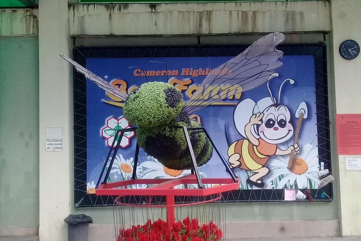 Cameron Highlands Day Trip (Price based Per Car) Diskon 50% Paket Tur