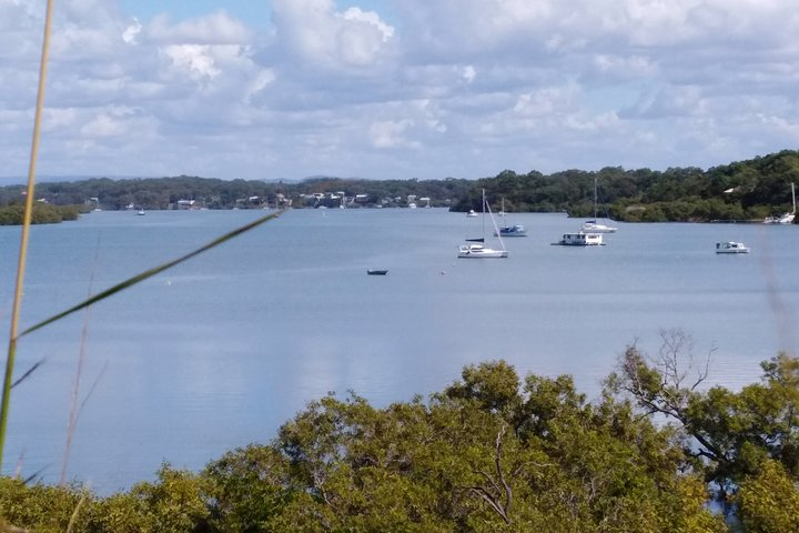 Full-Day Guided Tour: Russell Lamb Macleay and Karragarra Islands Promo ...