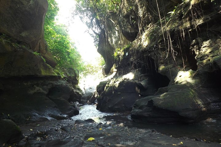 Beji Guwang Hidden Canyon and Ubud Highlights Tour Diskon 50% Paket Tur