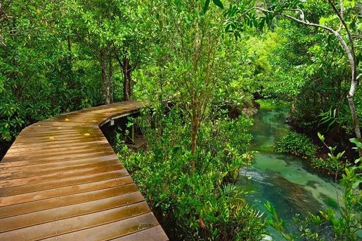 Krabi Jungle Tour:Krabi Hot Springs Waterfall,Emerald Pool and Tiger ...