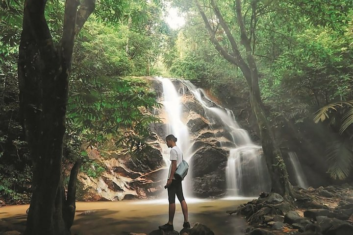 Templer Park and Kanching Waterfall Tour - A Rendezvous with Nature ...