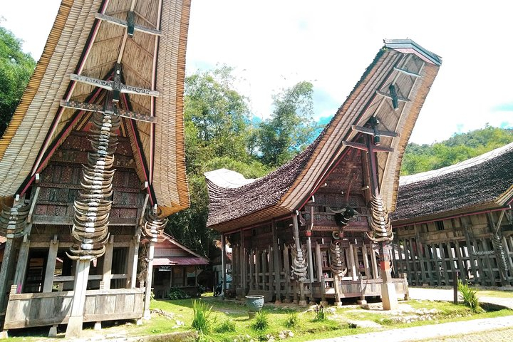 Toraja & Beyond 8D 7N Harga Promo Terbaru 2023