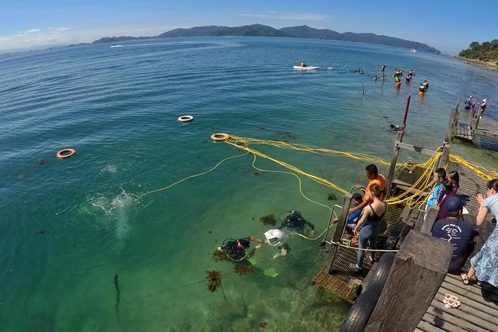 Sepanggar Island Harga Promo Terbaru 2023