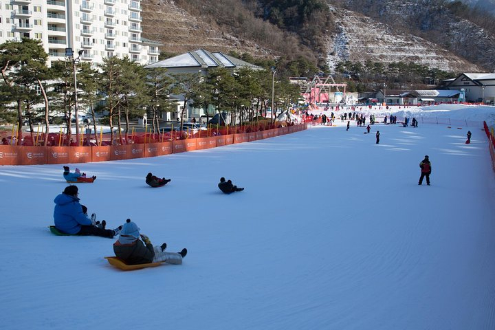 [Private Tour] Nami Island & Snow Viewing and Snow sled (More Members ...