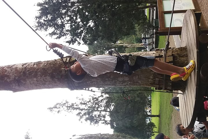 Bali Tree Top Activity Harga Promo Terbaru 2023