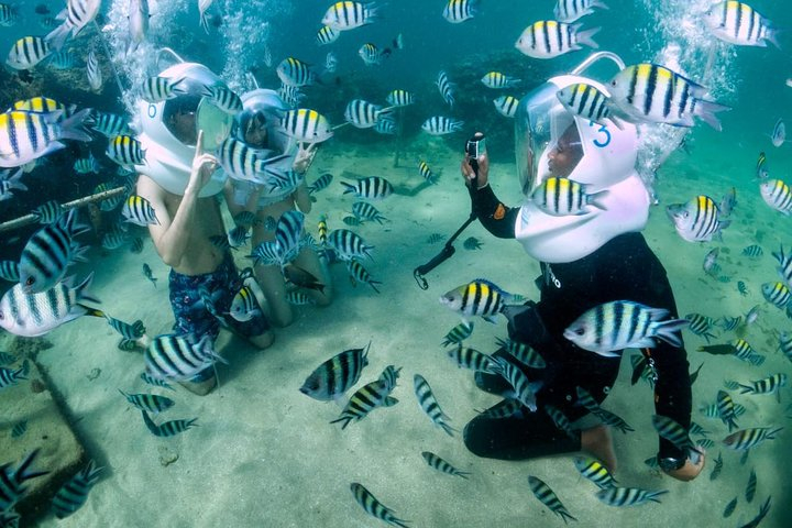 Teramachi Bali Wisata Seawalker Adventure Plus Ubud Tour Harga Promo ...