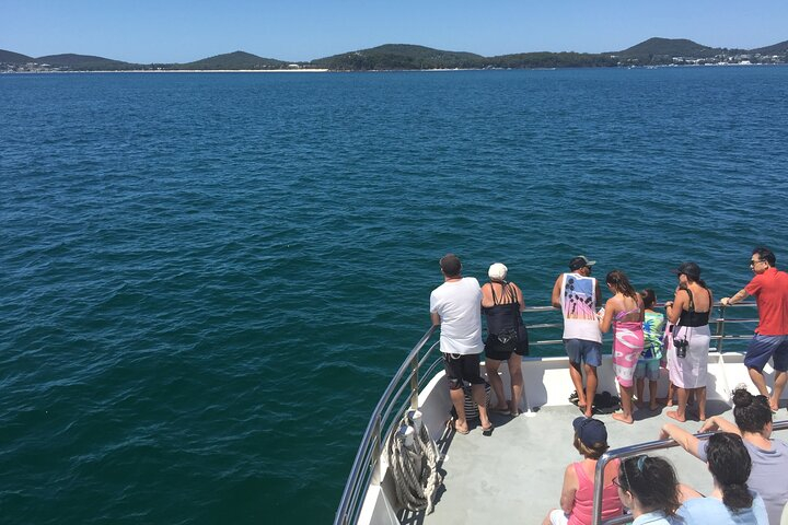 Port Stephens Private Tour From Sydney, with Dolphin/ Whale Cruise ...