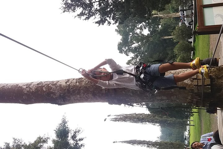Bali Tree Top Activity Harga Promo Terbaru 2023