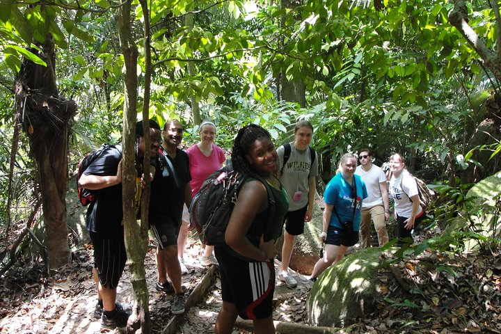 Forest Research Institute Malaysia (FRIM) Nature Trekking Tour Harga ...