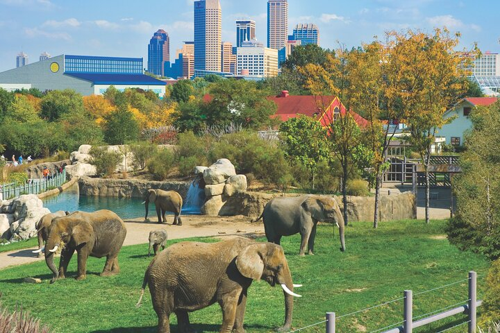 3-Day Indianapolis Attractions Pass Diskon 50% Harga Tiket Masuk