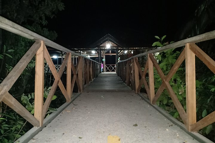 Bintan Fireflies Discovery Tour Harga Promo Terbaru 2023