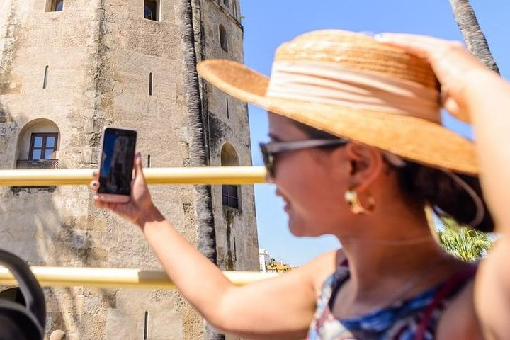 San Antonio River Walk Cruise And 3 Day Hop On Hop Off Trolley Harga