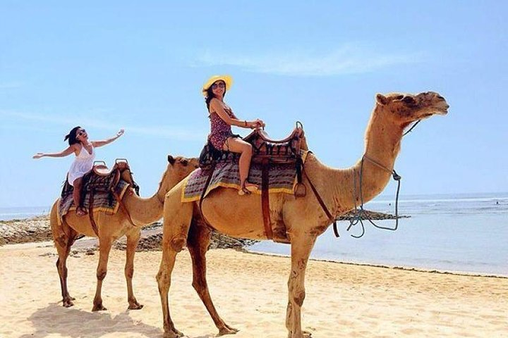 The Best Private Trip With Camel Safari 30 minutes In White Sand Beach ...