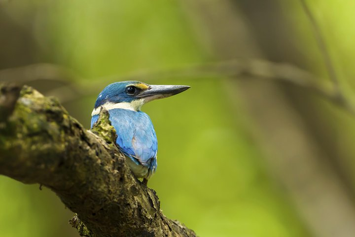 Junam Wetlands and Haeinsa Temple Tour Diskon 50% Harga Tiket Masuk