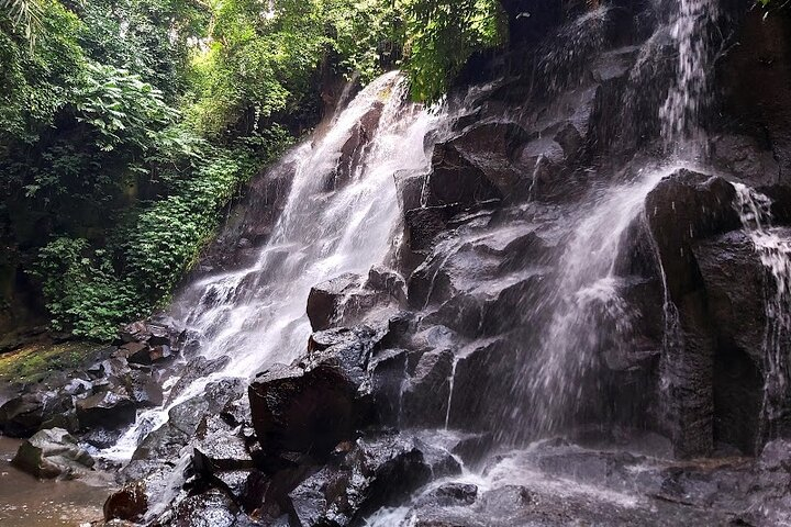 Private Full Day Trip-Bali Bird Park-Goa Gajah Temple-Kanto Lampo ...