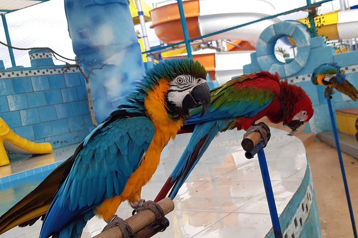 Wonderland Adventure Family Tour Harga Promo Terbaru 2023