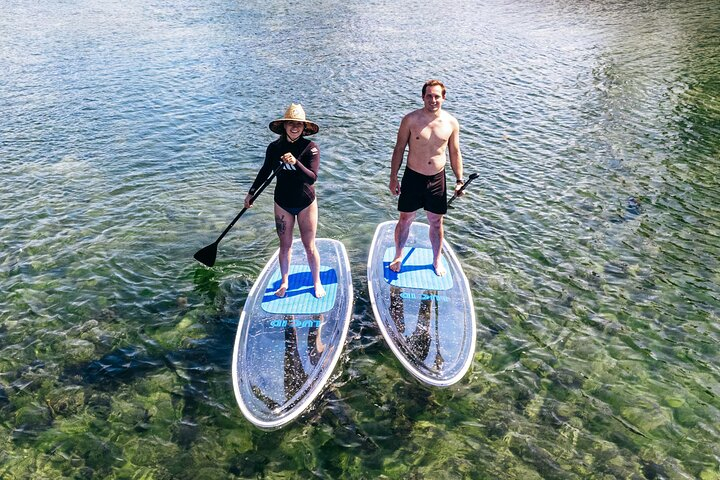 Clear Paddle Board Tour of Silver Springs Harga Promo Terbaru 2023