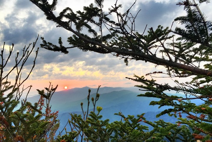 Anakeesta High Ridge Adventure Diskon 50% Harga Tiket Masuk