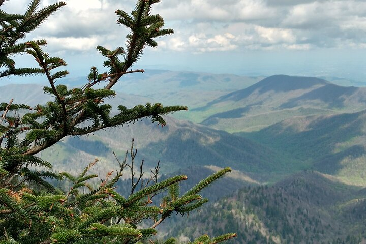 Anakeesta High Ridge Adventure Diskon 50% Harga Tiket Masuk