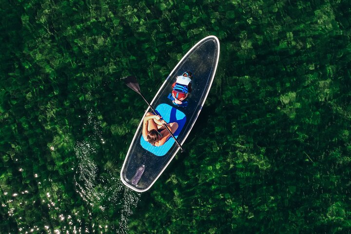 Clear Paddle Board Tour of Silver Springs Harga Promo Terbaru 2023