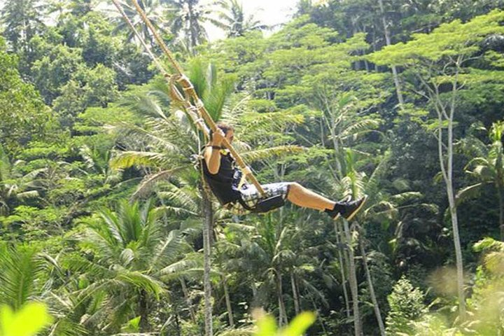 Tour Activities:Swing Bali-Ayung River Rafting-Sacred Monkey Forest&Goa ...