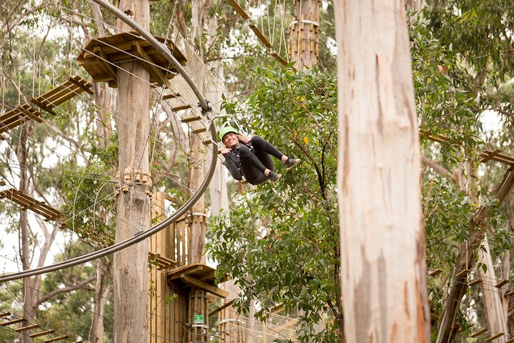 Shockwave Zip Coaster Experience in Lorne Harga Promo Terbaru 2023