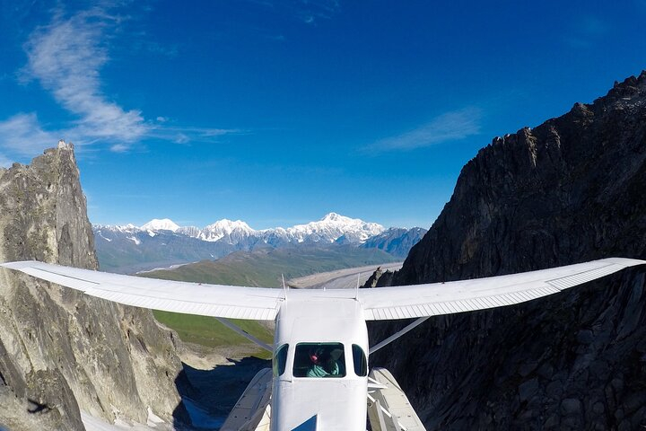 Small-Group Flight Denali National Park Tour with Guided Hike Harga ...