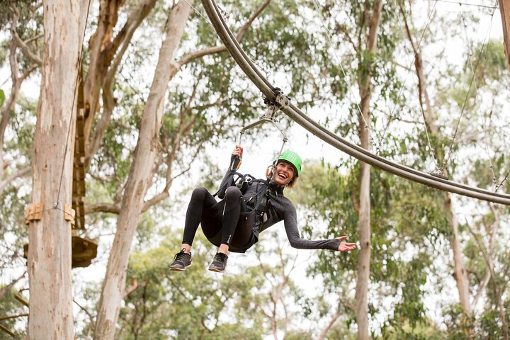 Shockwave Zip Coaster Experience in Lorne Harga Promo Terbaru 2023