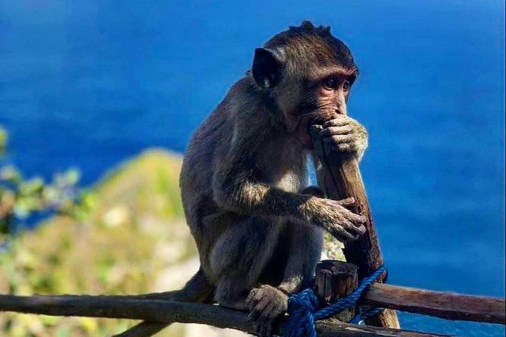 Nusa Penida Island Tour Diskon 50% Harga Tiket Masuk